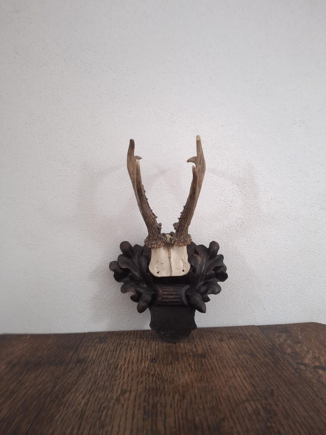 Vintage Carved Wooden Hunting Trophy Board With Small Deer Antlers on a ...