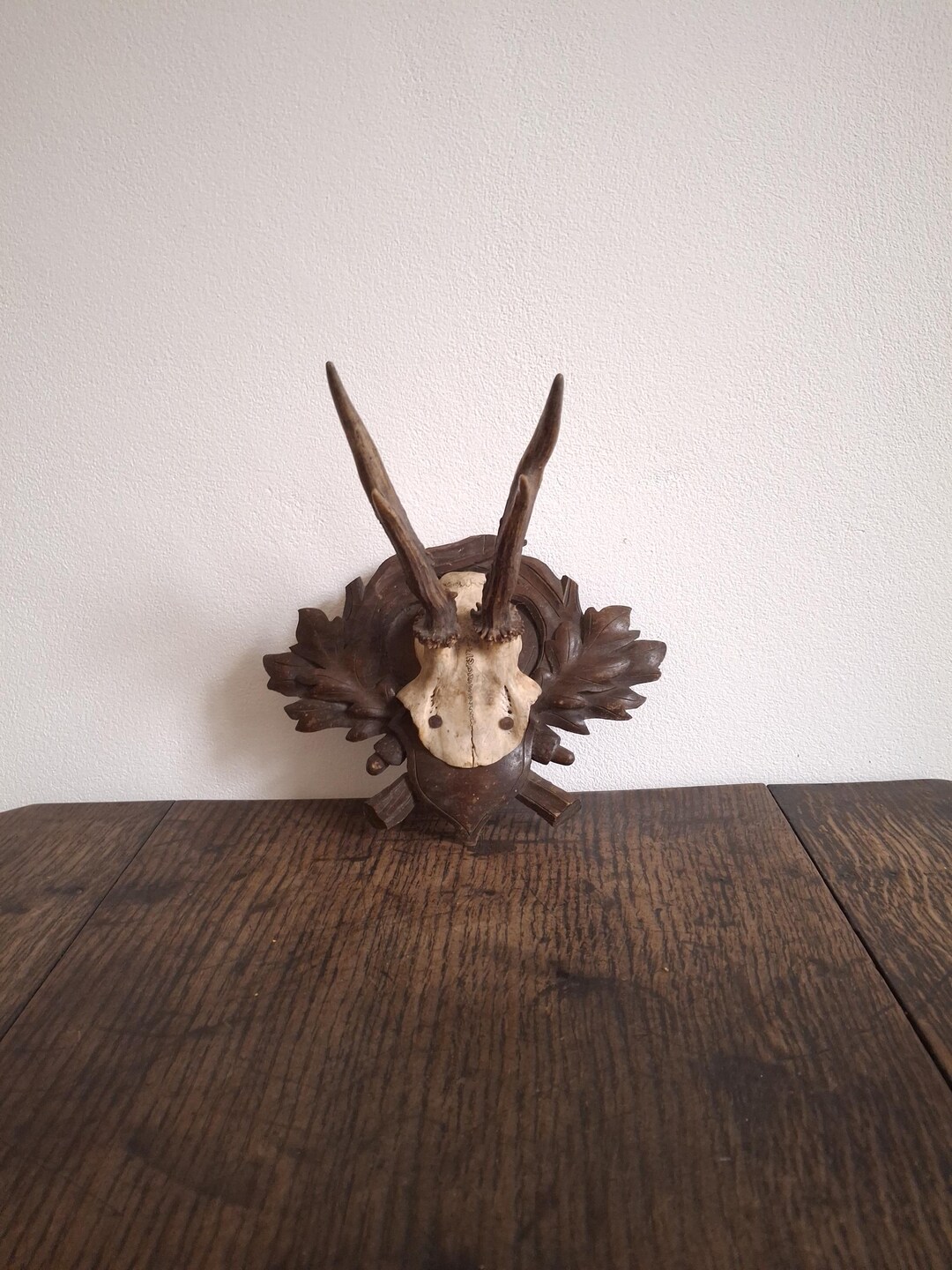Antique Carved Wooden Hunting Trophy Board With Small Deer Antlers on a ...
