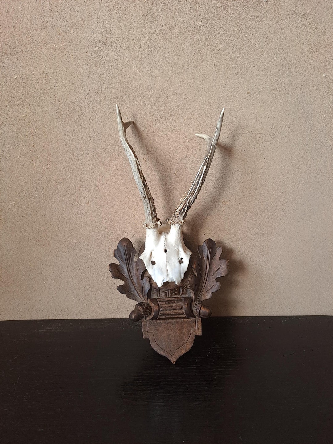 Vintage Carved Wooden Hunting Trophy Board With Small Deer Antlers on a ...