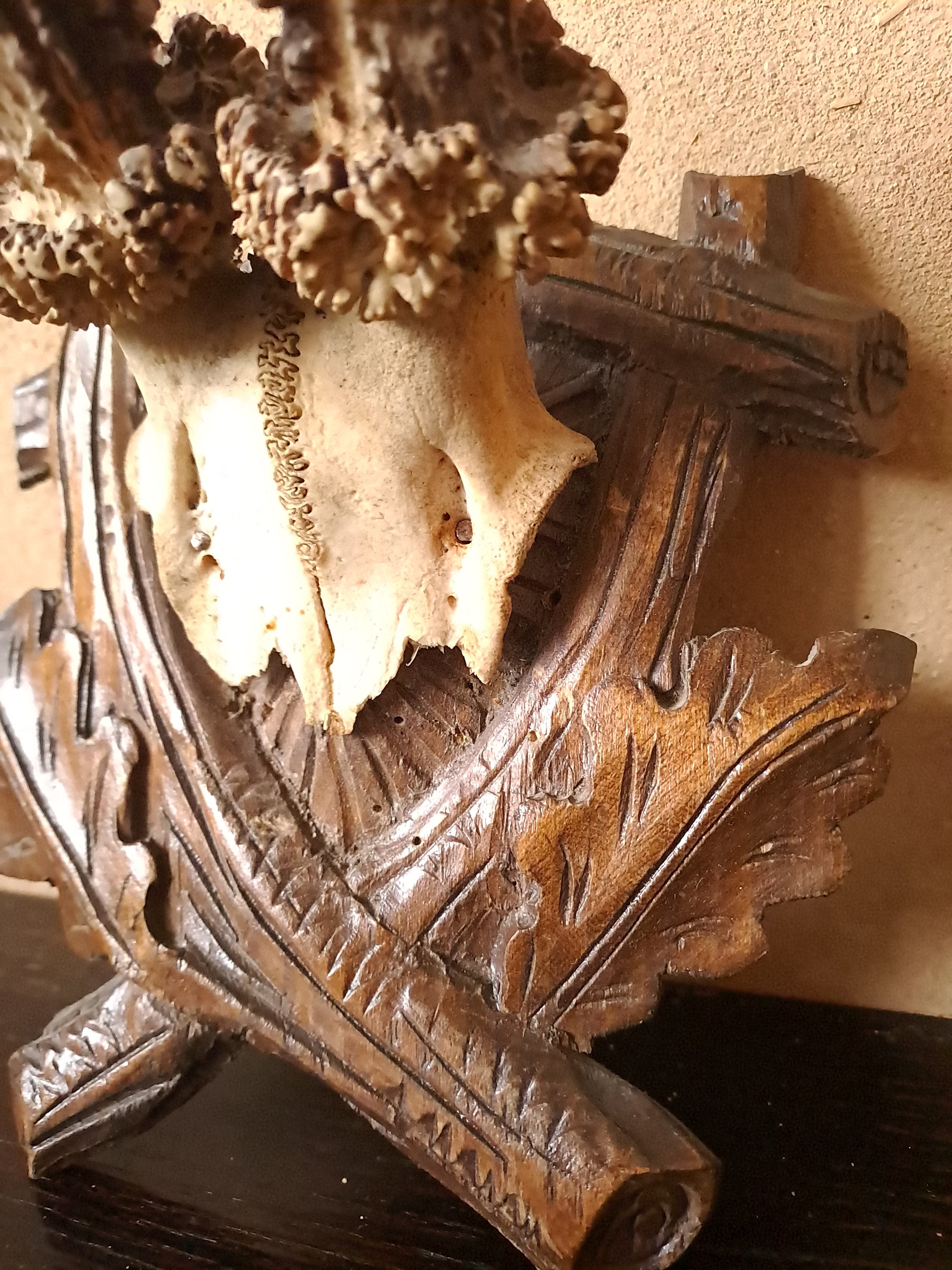 Vintage Carved Wooden Hunting Trophy Board With Substantial Deer ...