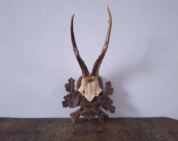 Vintage Crudely Carved Wooden Hunting Trophy Board With Small Deer ...
