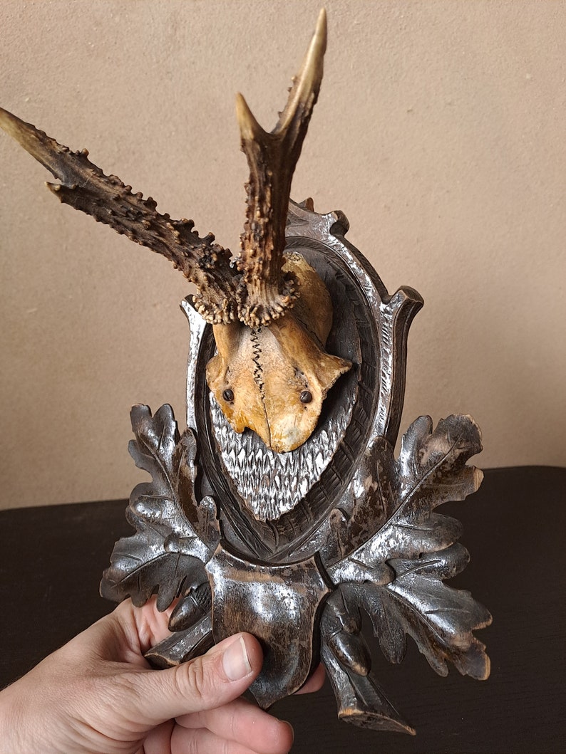 Antique Carved Wooden Hunting Trophy Board With Very Small Deer Antlers ...