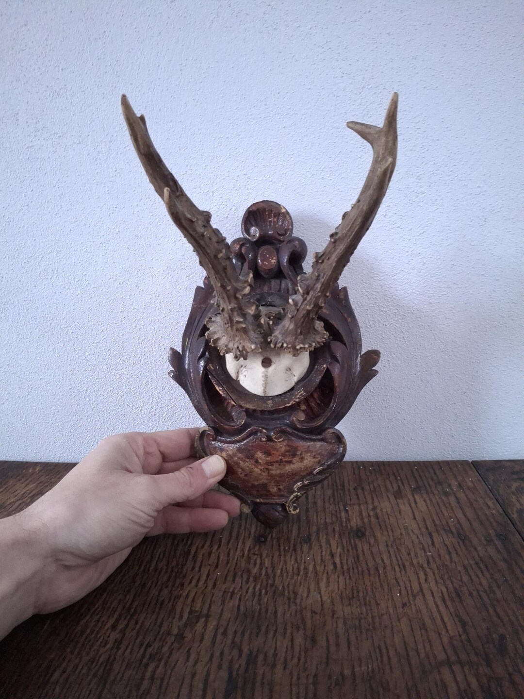 Antique Carved Wooden Hunting Trophy Board With Small Deer Antlers on a ...