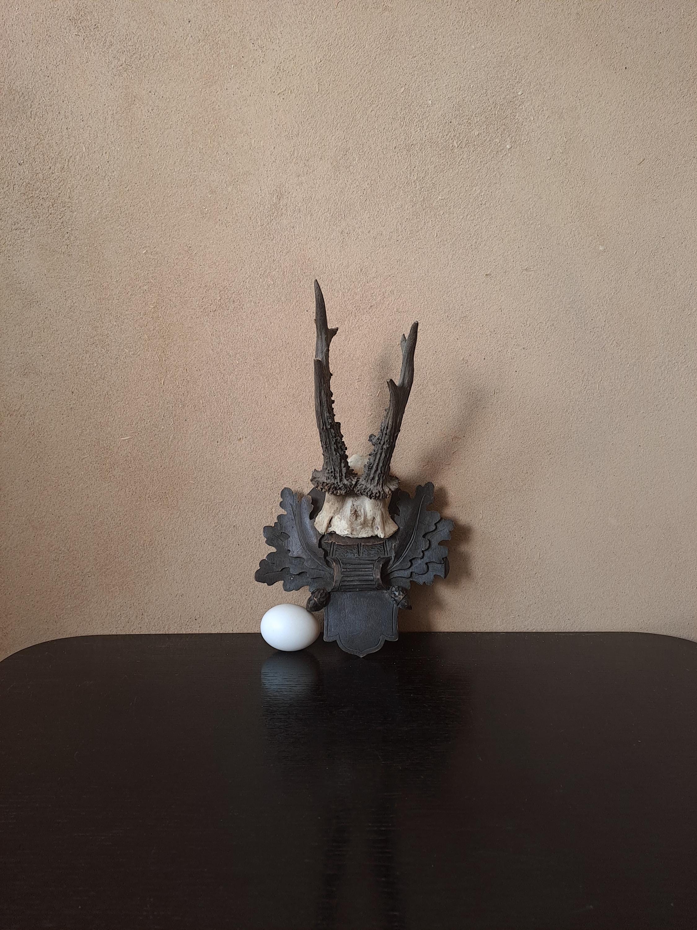 Vintage Carved Wooden Hunting Trophy Board With Small Deer Antlers on a ...