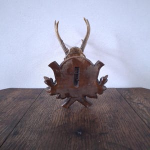 Vintage Smaller Carved Wooden Hunting Trophy Board With Deer Antlers on ...