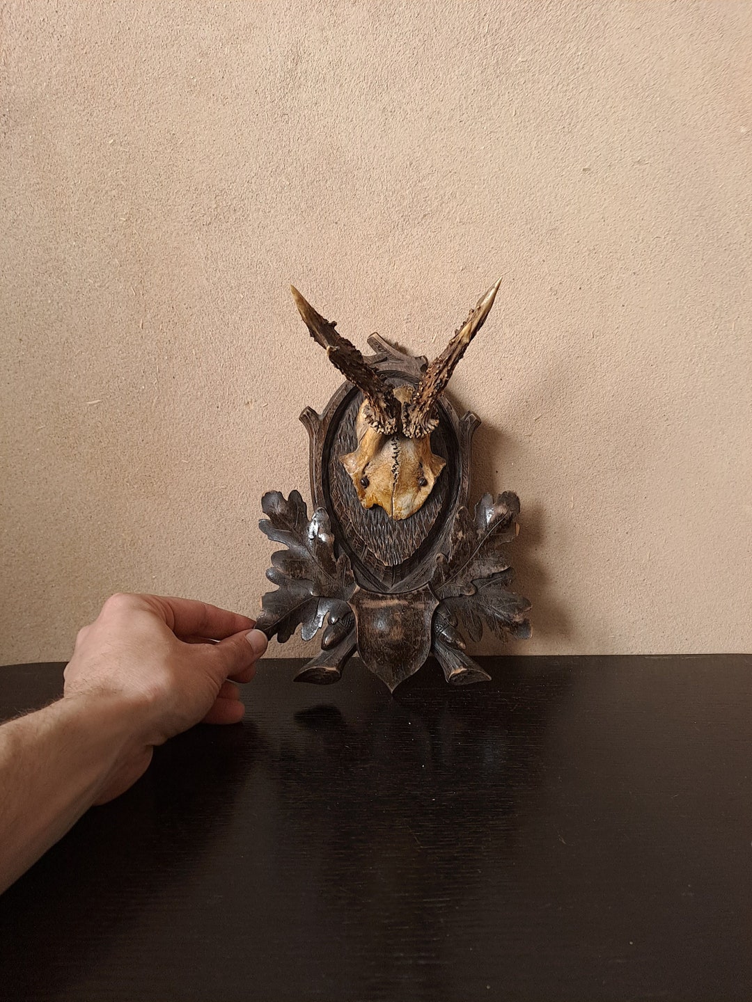 Antique Carved Wooden Hunting Trophy Board With Very Small Deer Antlers ...