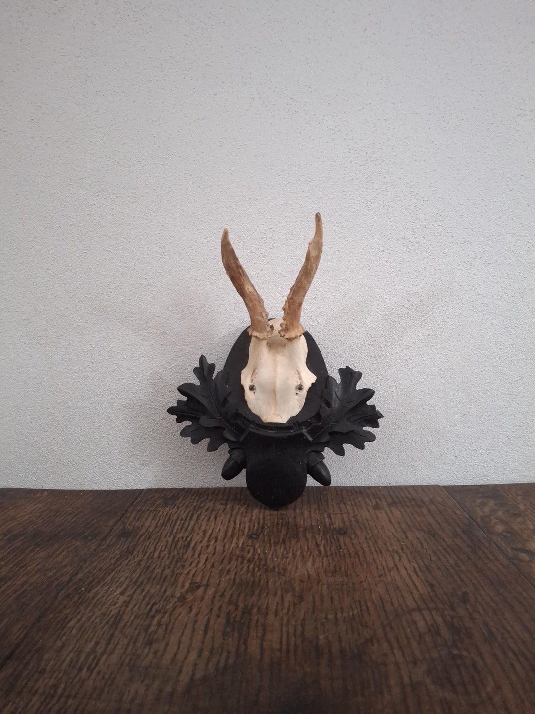 Antique Carved Wooden Hunting Trophy Board With Small Deer Antlers on a ...