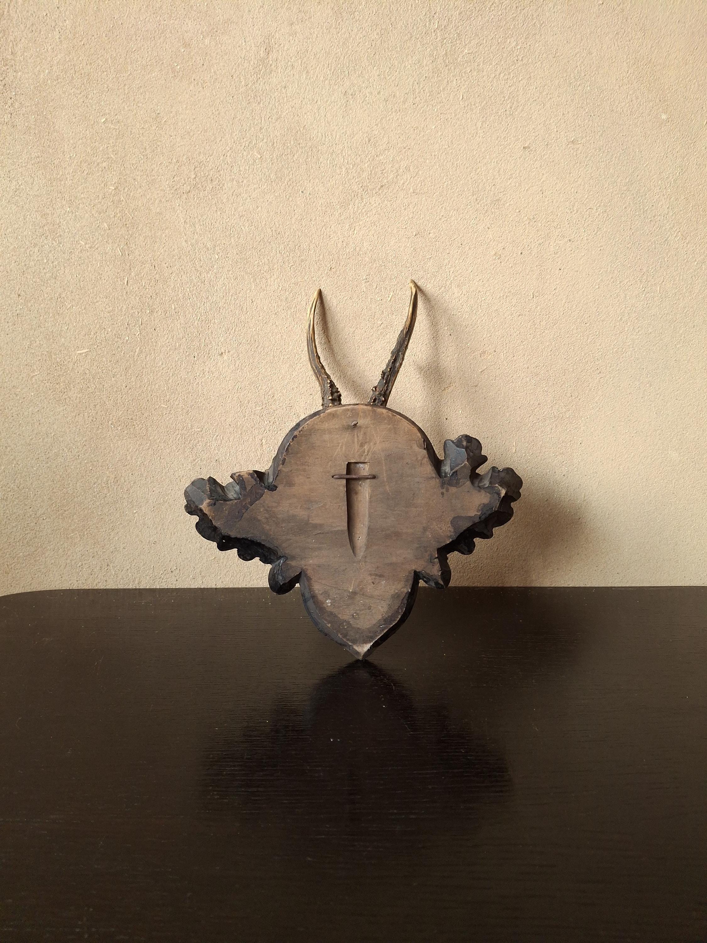 Antique Carved Wooden Hunting Trophy Board With Small Deer Antlers on a ...