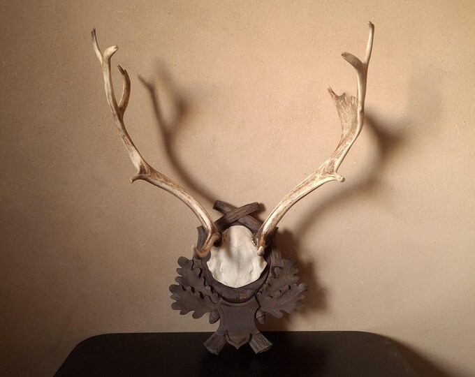 Antique Large Carved Wooden Hunting Trophy Board With Red Deer Antlers ...
