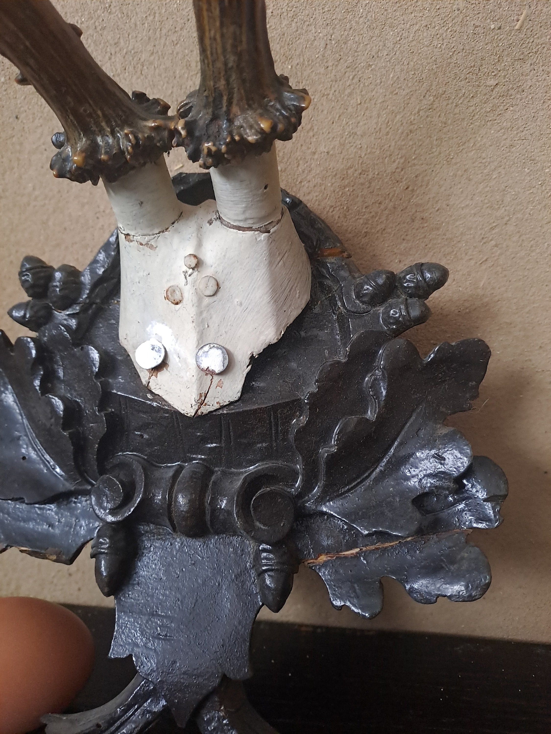 Antique Carved Wooden Hunting Trophy Board With Small Deer Antlers on a ...