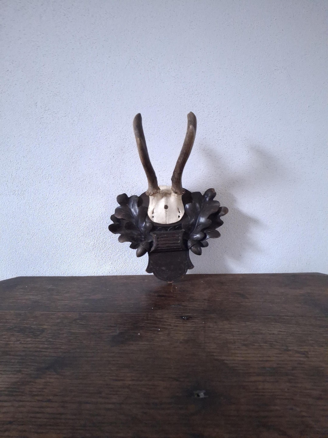 Vintage Carved Wooden Hunting Trophy Board With Small Deer Antlers on a ...