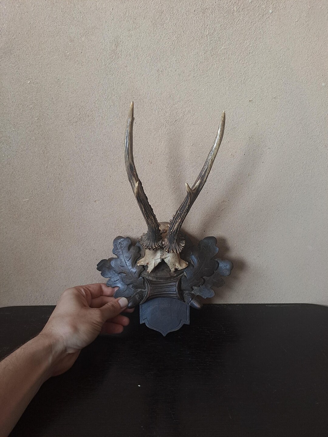 Vintage Carved Wooden Hunting Trophy Board With Small Deer Antlers on a ...