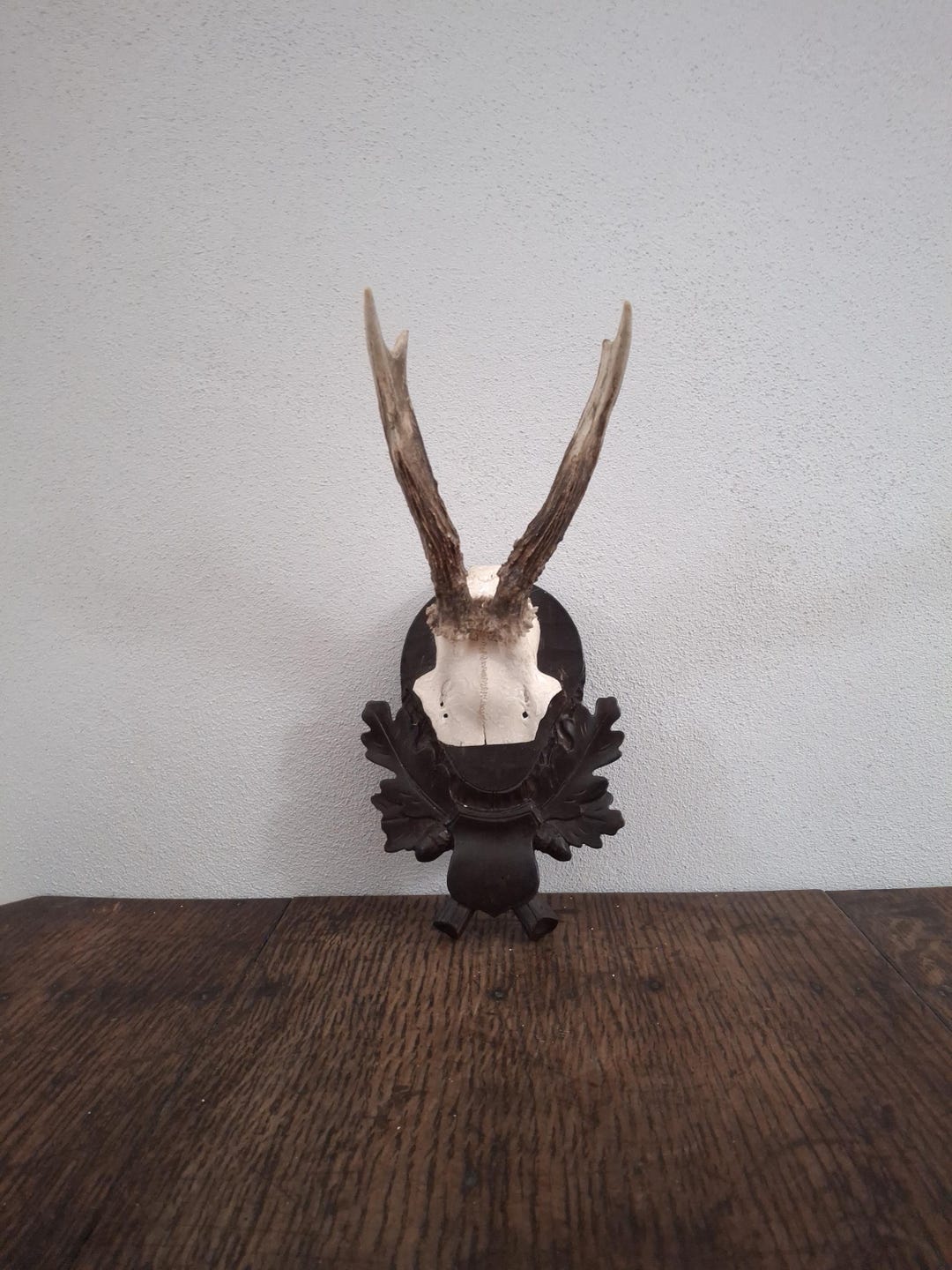Vintage Carved Wooden Hunting Trophy Board With Small Deer Antlers on a ...
