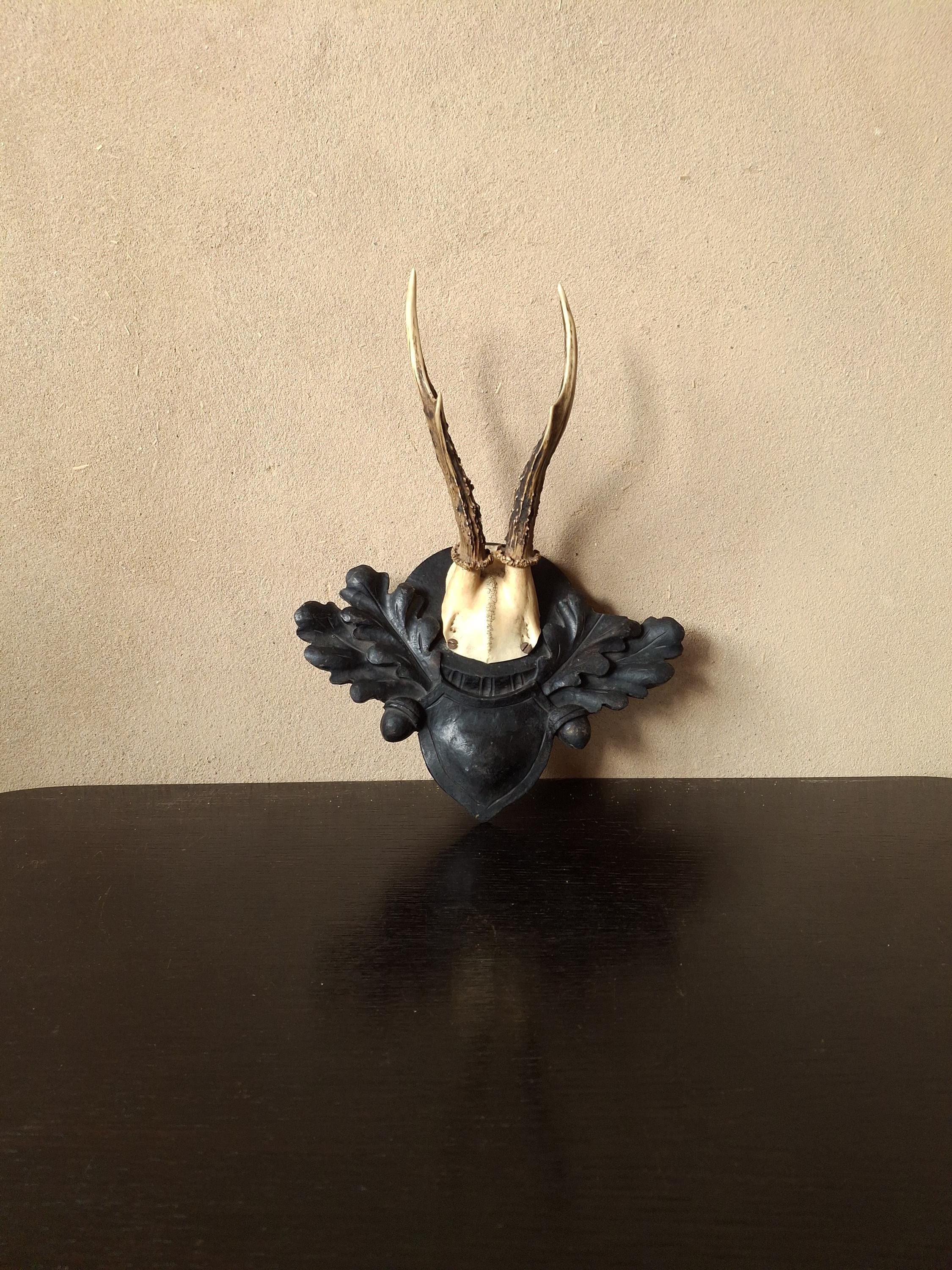 Antique Carved Wooden Hunting Trophy Board With Small Deer Antlers on a ...