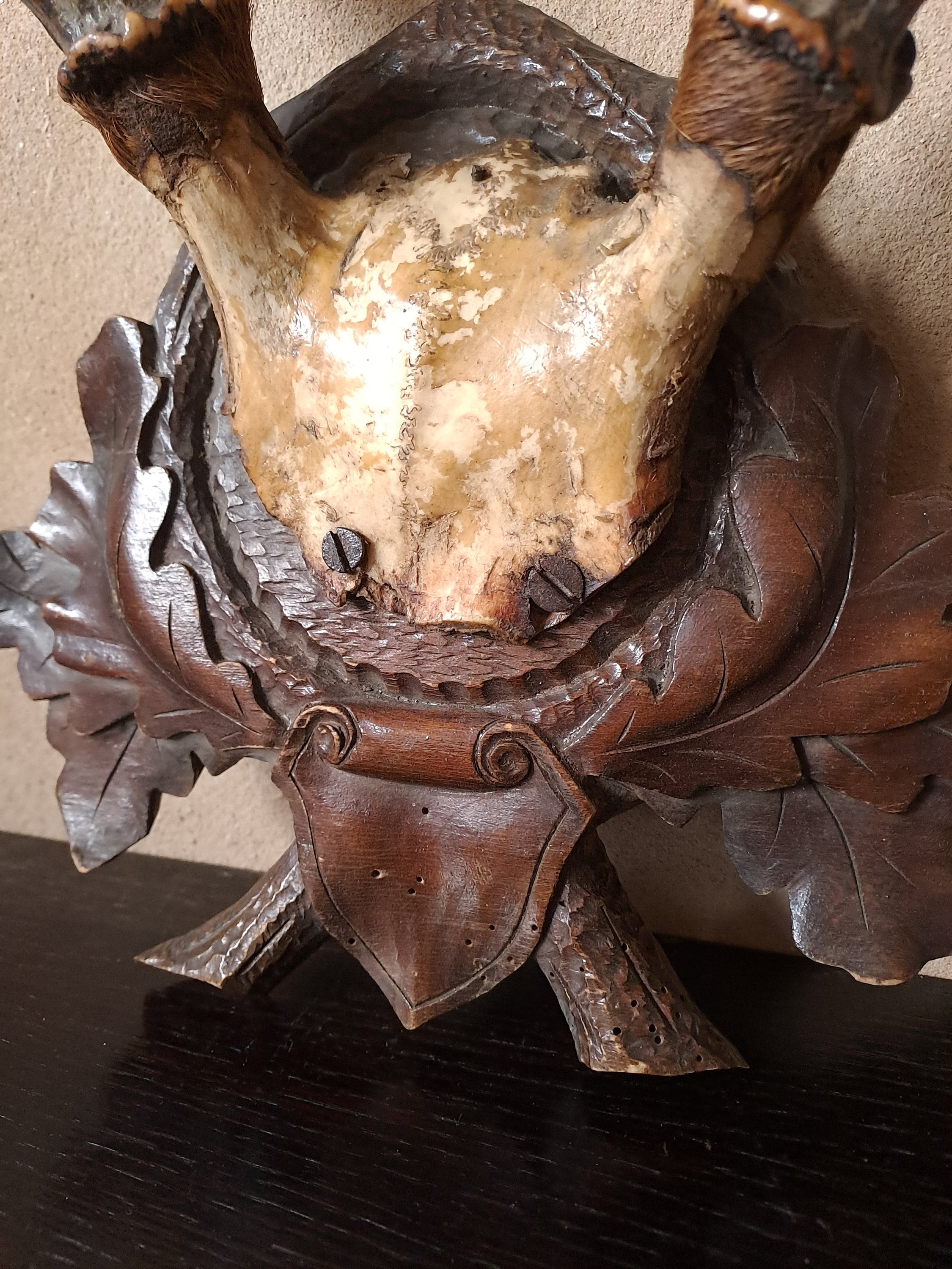 Antique Carved Wooden Hunting Trophy Board With Red Deer Antlers on a ...