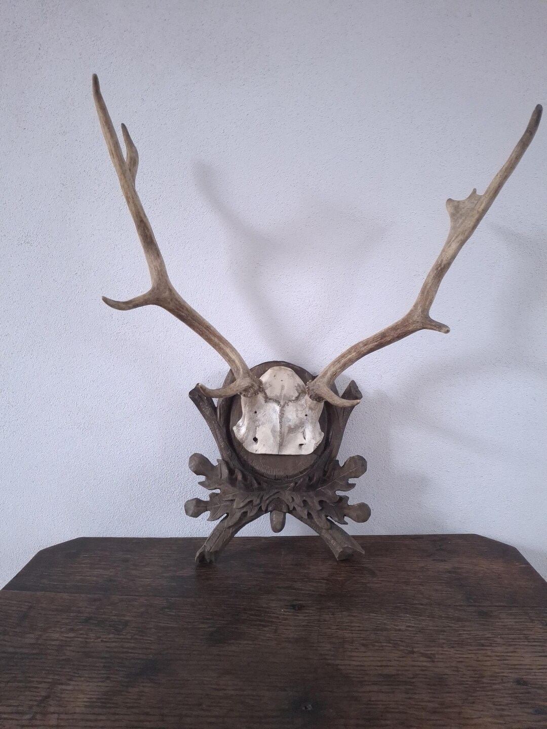 Antique Large Carved Wooden Hunting Trophy Board With Red Deer Antlers ...