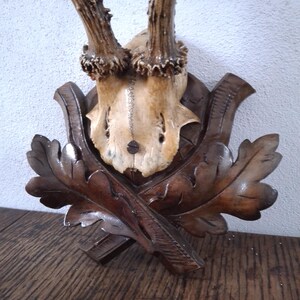 Vintage Smaller Carved Wooden Hunting Trophy Board With Deer Antlers on ...