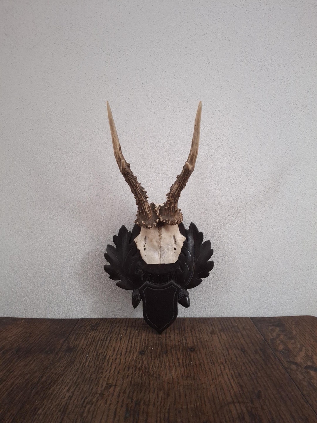 Antique Carved Wooden Hunting Trophy Board With Deer Antlers on a Piece ...