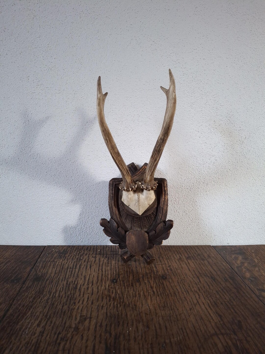 Antique Carved Wooden Hunting Trophy Board With Small Deer Antlers on a ...