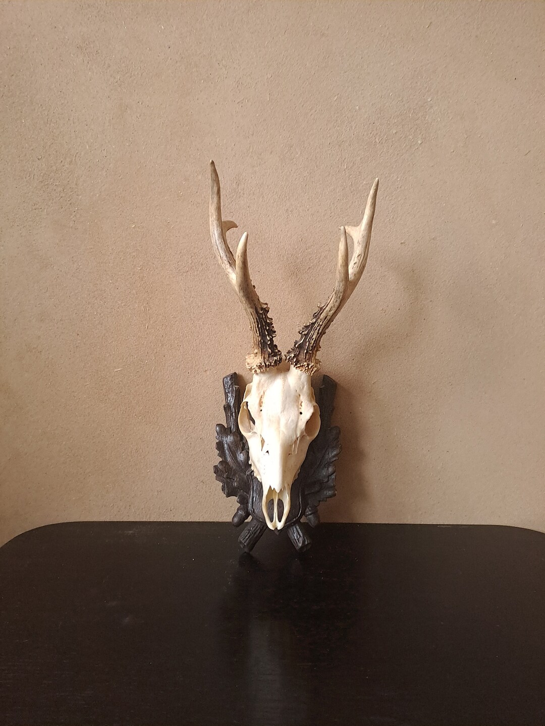 Antique Carved Wooden Hunting Trophy Board With Deer Skull - Etsy