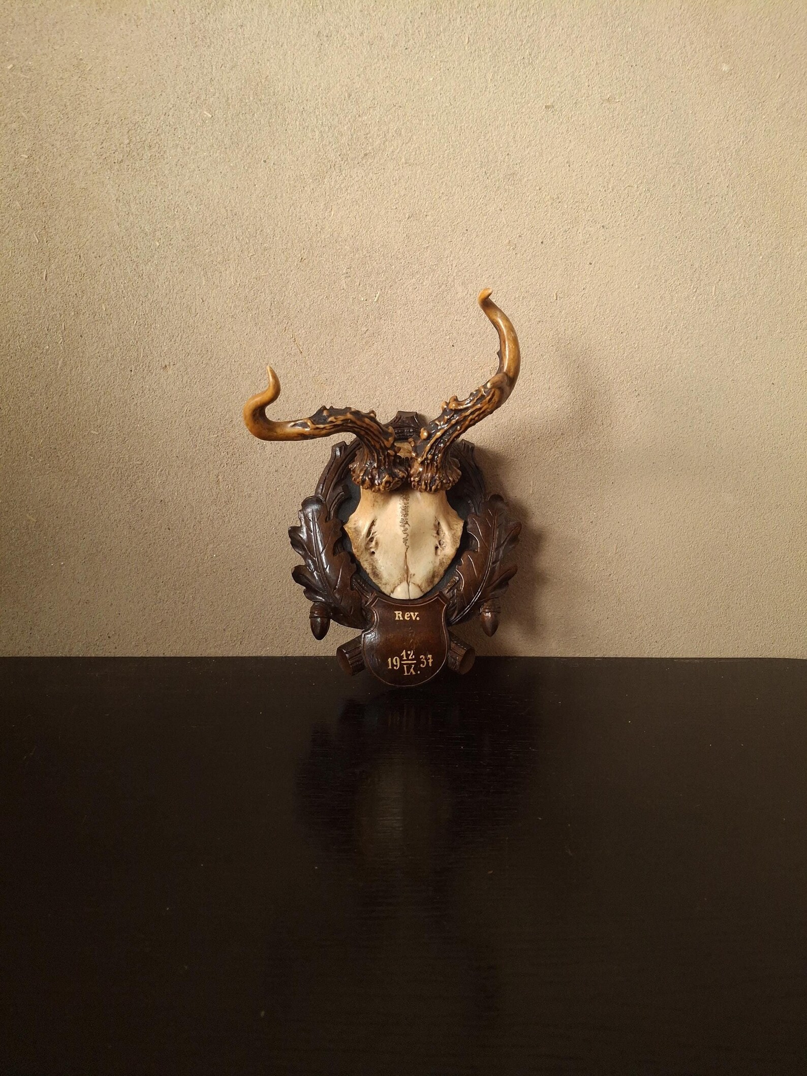 Antique Hunting Trophy Board With Small Deer Antlers With Rare ...