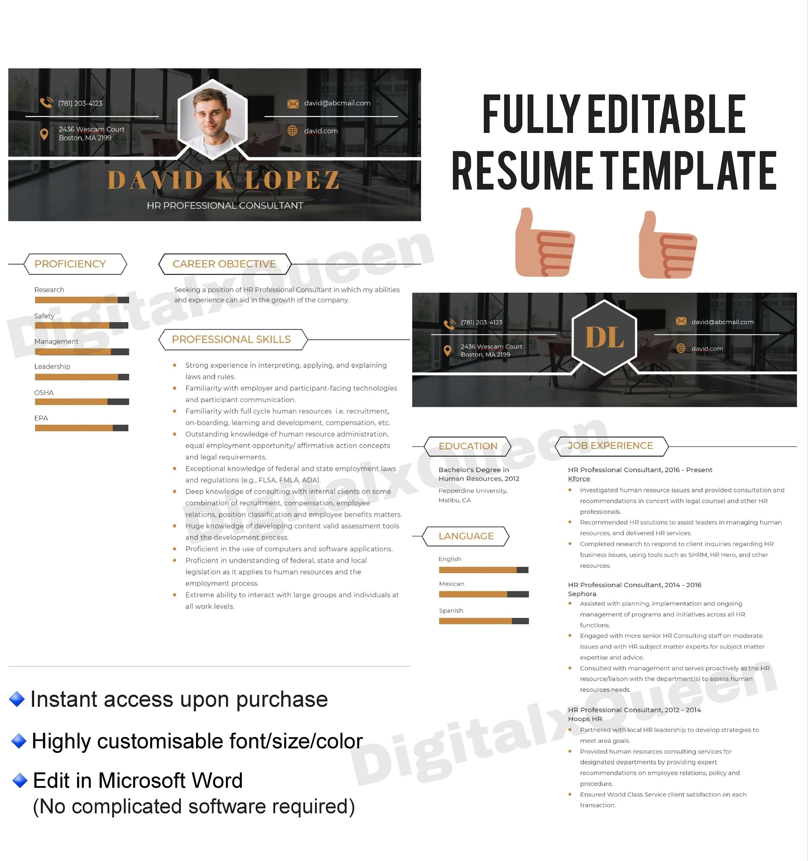 Executive Resume Template for Microsoft Word, CV Template, Professional ...