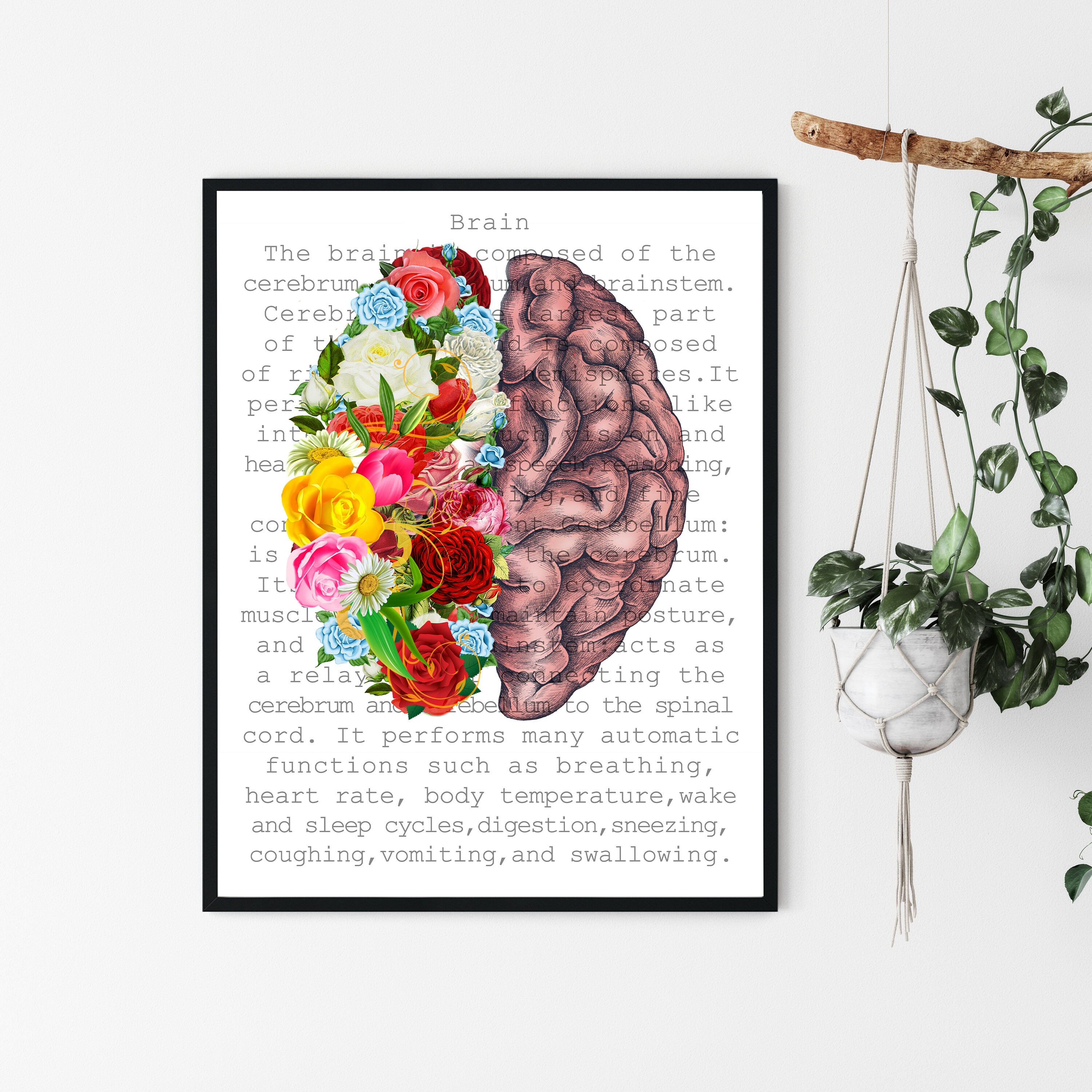 Brain Flower Anatomy Print, Psychology, Neurologist Gift, Psychologist ...