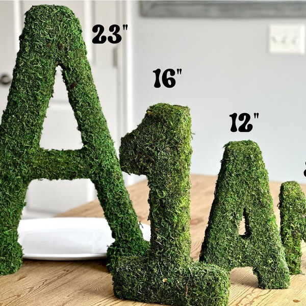 Moss Letter - Etsy