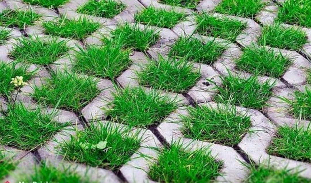 Grass Paver Mold, Plastic Molds for Concrete Paving Slabs, Cement Mold ...