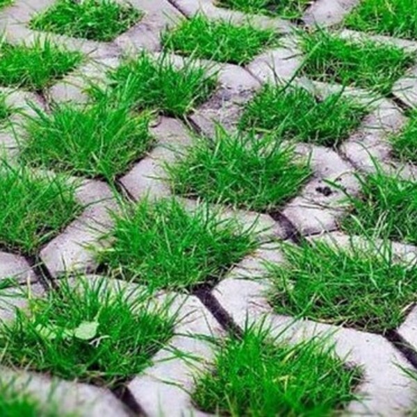 Grass Block - Etsy