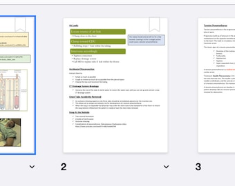 Chest Tube Study Guide - Etsy