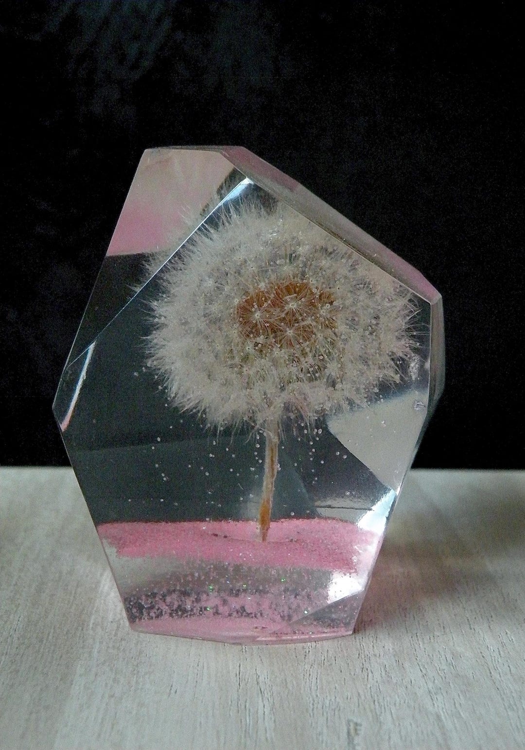 Geometric Wish Real Dandelion in Resin Pink - Etsy
