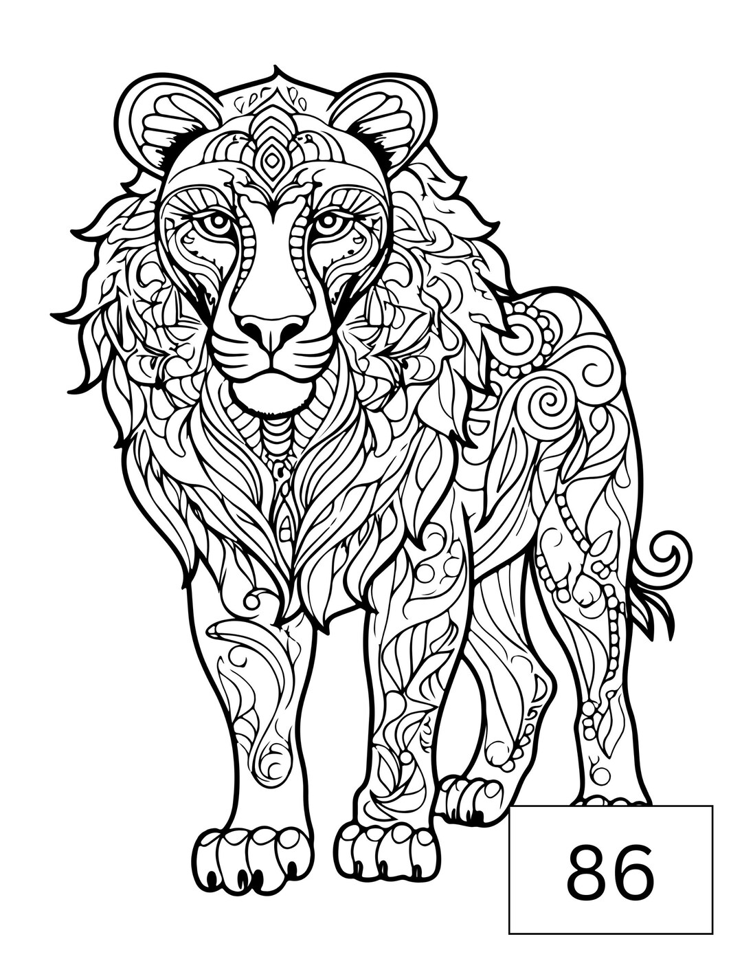 Rocketbook, Reusable Coloring Pages Beautiful Designs, Frixion Pens - Etsy