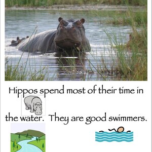 Adapted Book Speech Therapy Activity Special Education Homeschool ...