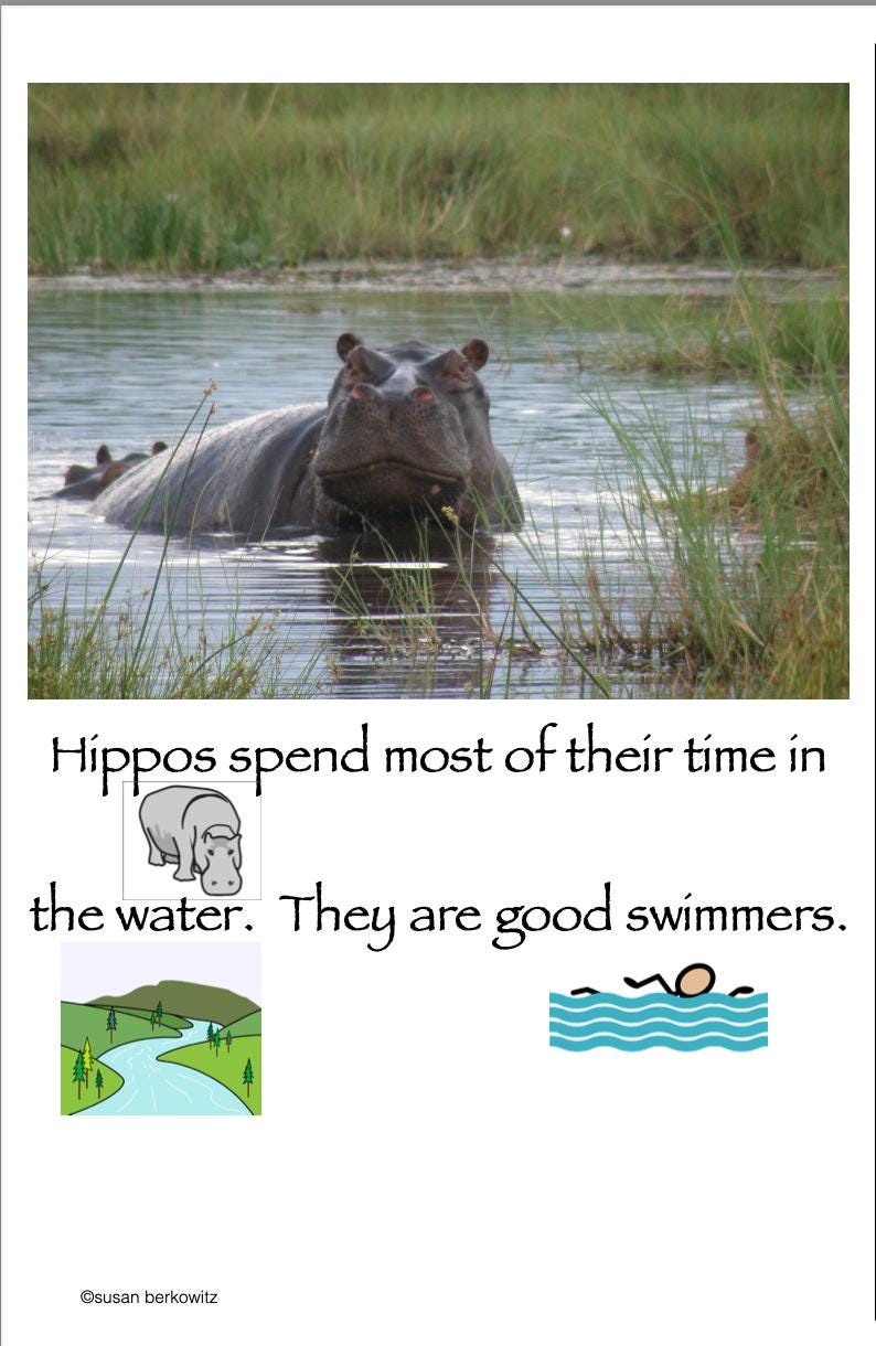 Adapted Book Speech Therapy Activity Special Education Homeschool ...