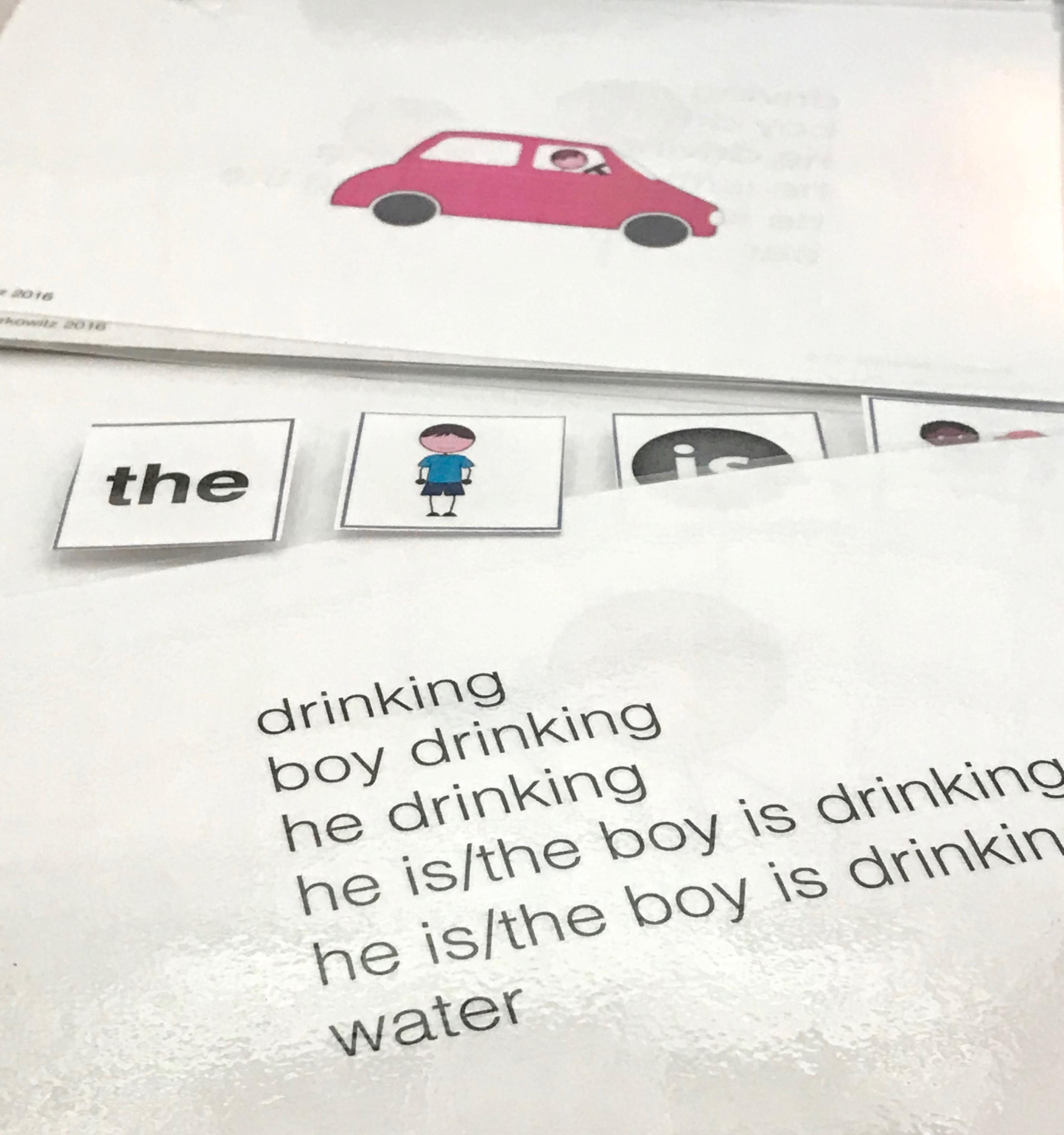 Speech Therapy Sentence Building Cards, Autism Visual Cues - Etsy