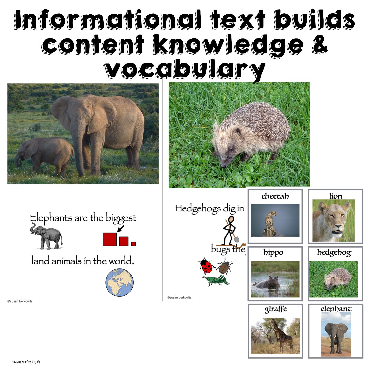 Adapted Book Speech Therapy Activity Special Education Homeschool ...