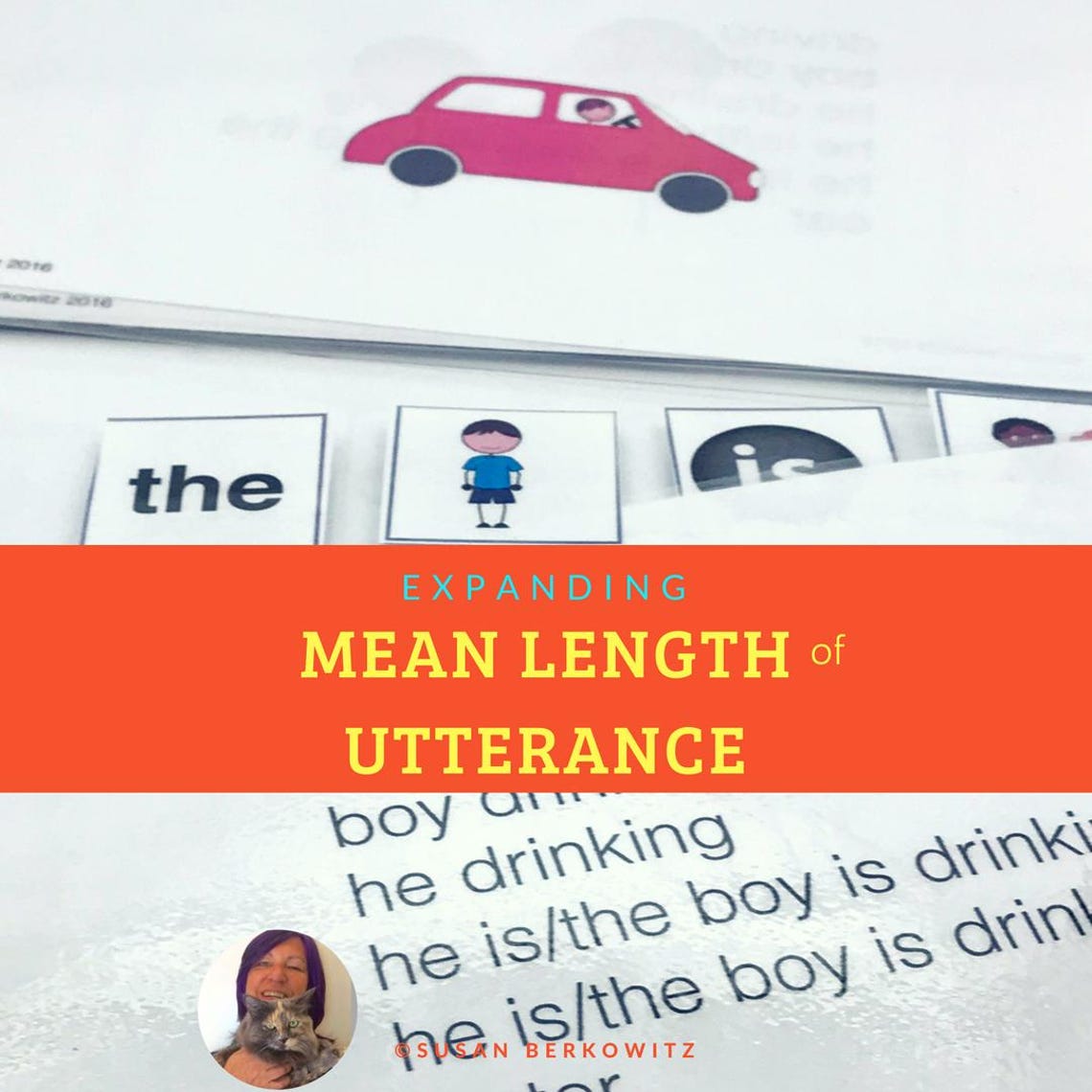 Sentence Building Cards Speech Therapy Visual Cues Autism Resource ...