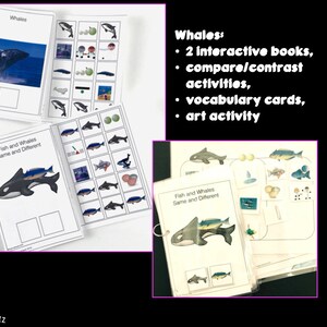 Speech Therapy Activities Adapted Books Special Education Science ...