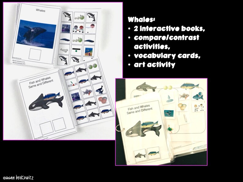 Speech Therapy Activities Adapted Books Special Education Science ...