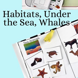 Speech Therapy Activities Adapted Books Special Education Science ...