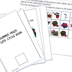 Summer Theme Speech Therapy Activities for Kids Parts of Speech ...