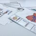 Laundry Life Skills Cards: Sorting & Predictions, Speech Therapy - Etsy