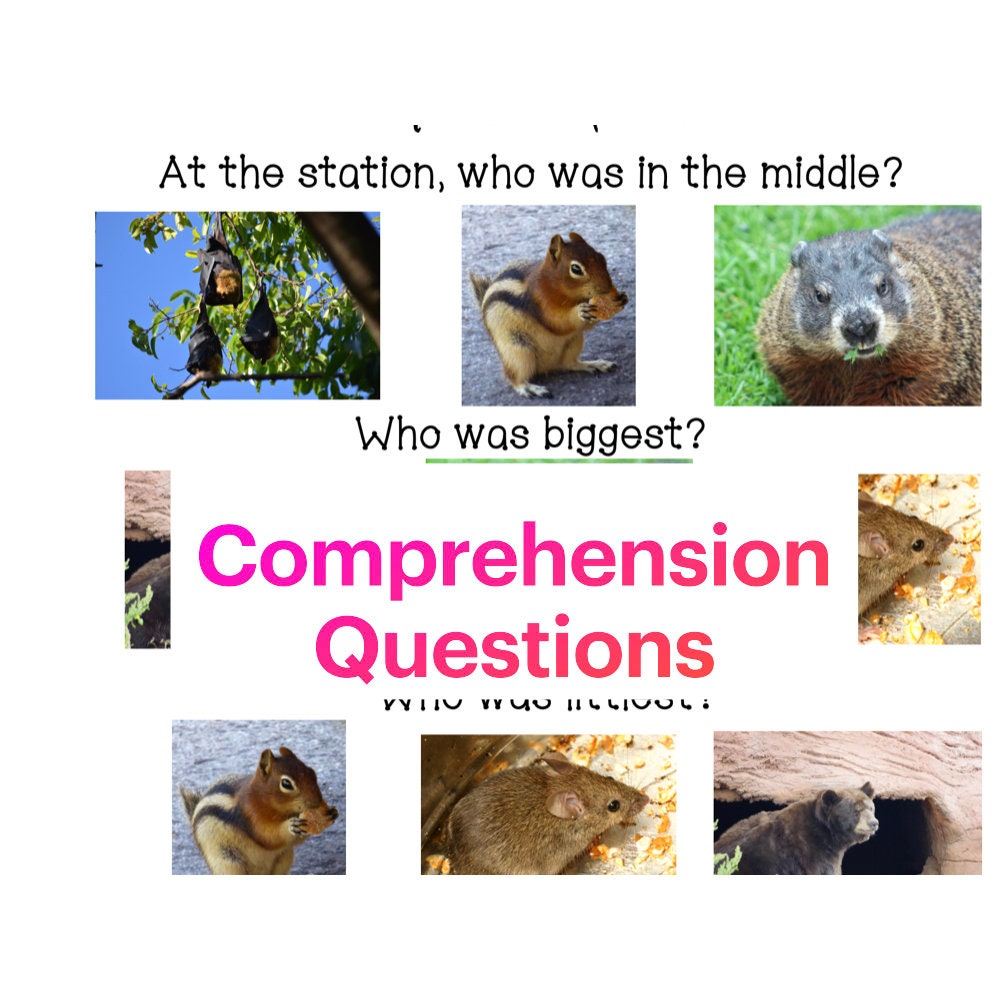 Speech Therapy Activities Language Learning Homeschool Mom Sequencing ...