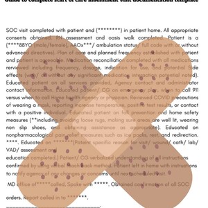 Home Health Care Clinician Guide to Start of Care Assessment Summary ...