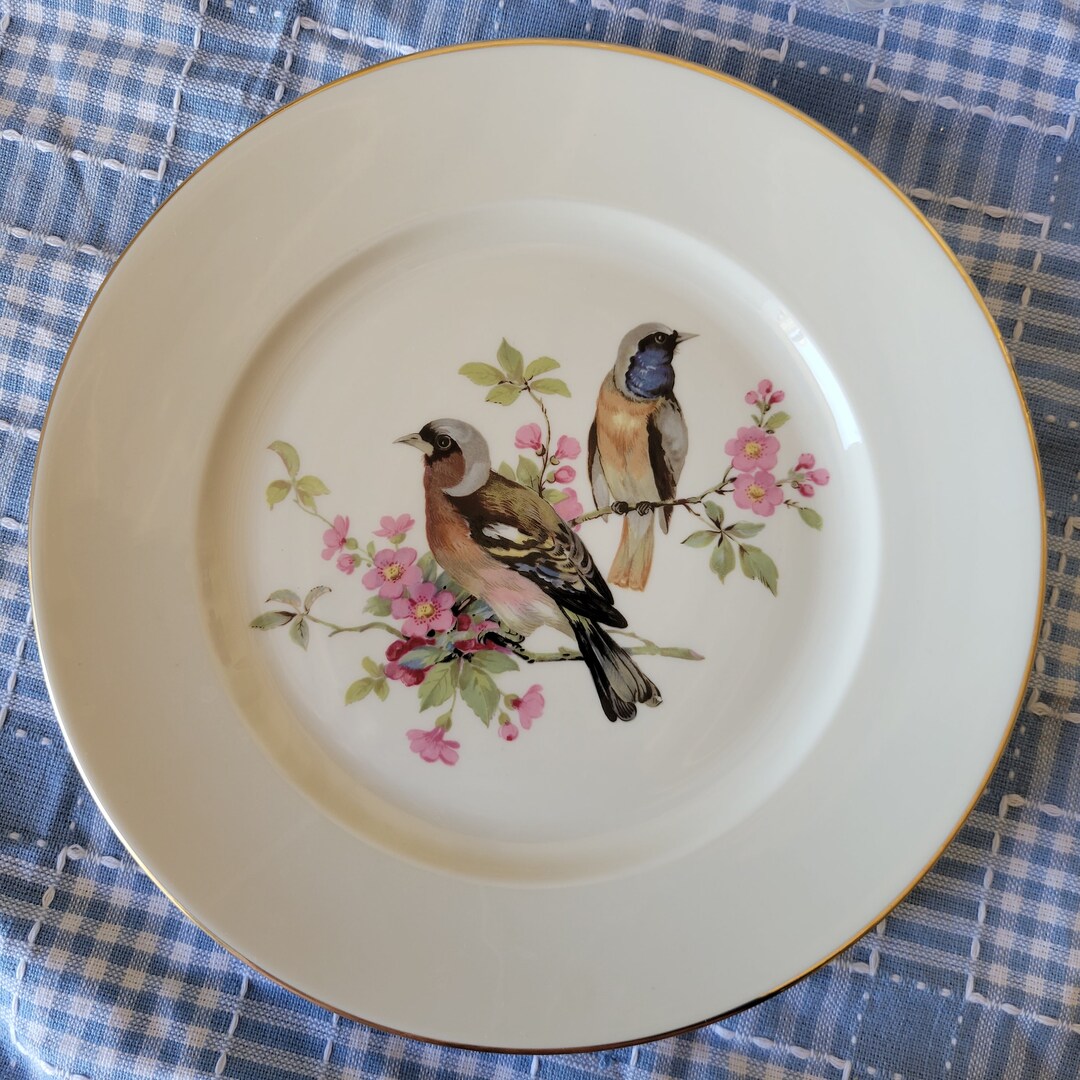 Assorted Decorative Plates, Some With Hummingbirds - Etsy