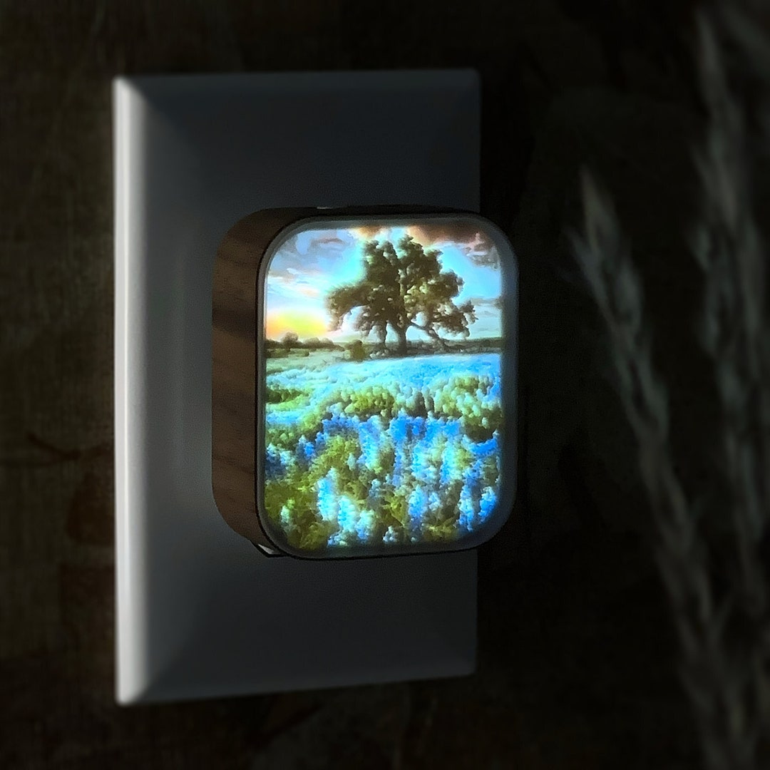Tree Sunset Wooden Night Light, Texas Meadow Sunrise With Blue Bonnets ...