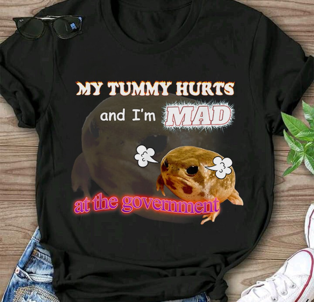 My Tummy Hurts and I'm MAD at the Government Meme T-shirt - Etsy