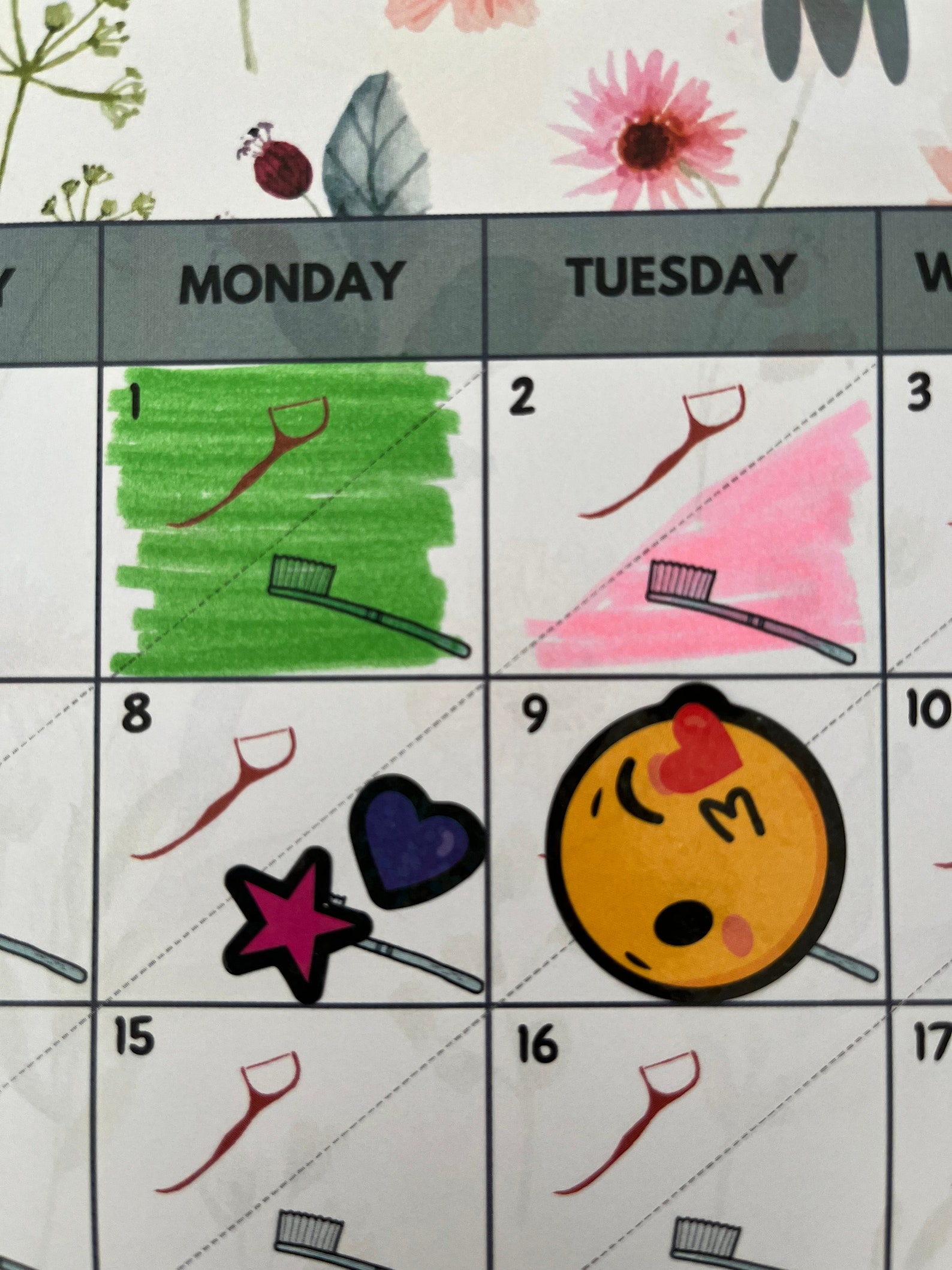 12 Month Printable Calendar Chore Chart Toothbrush Chart - Etsy