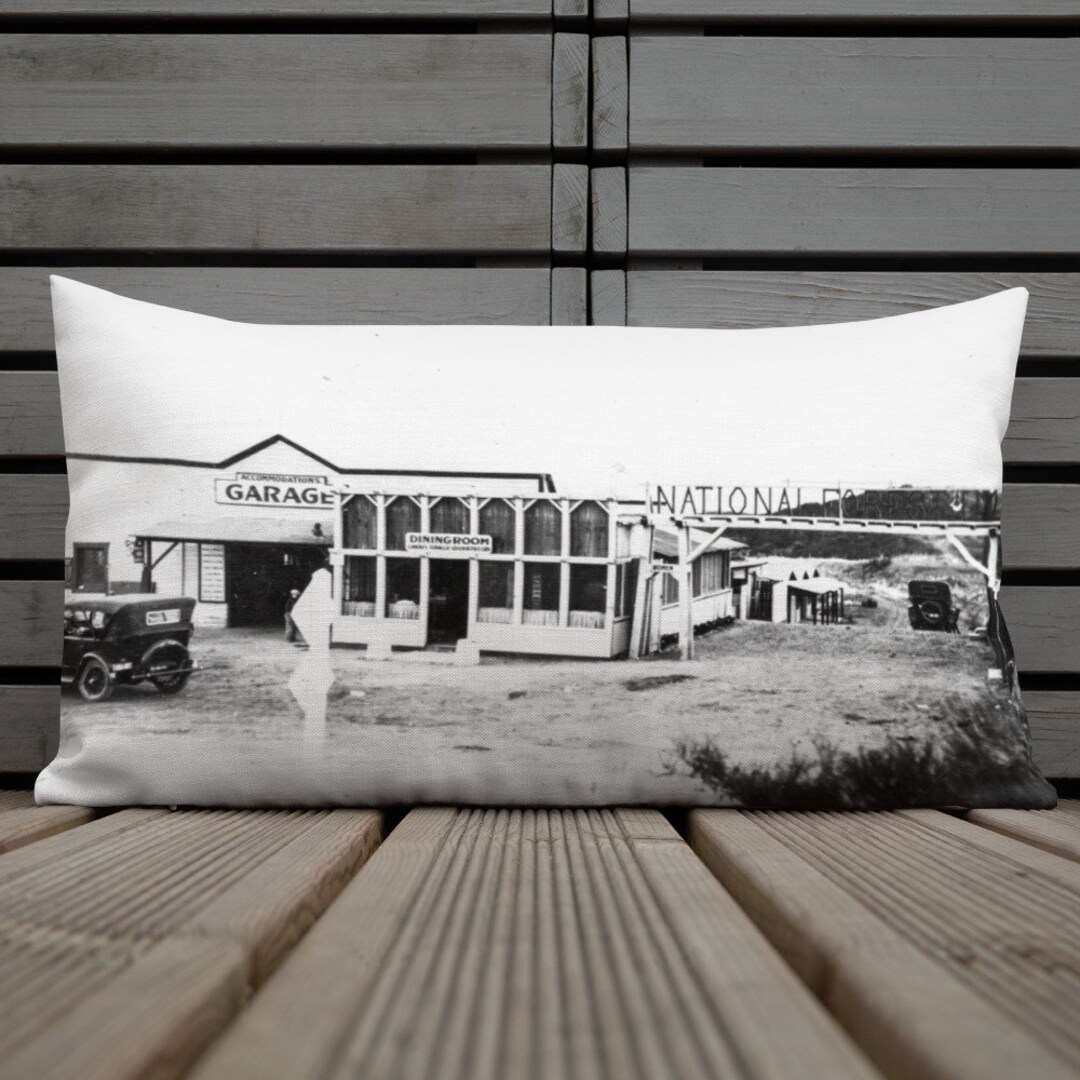 National Forest Inn on the Ridge Route Premium Pillow - Etsy